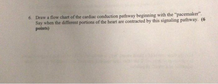 Solved 6. Draw a flow chart of the cardiac conduction | Chegg.com