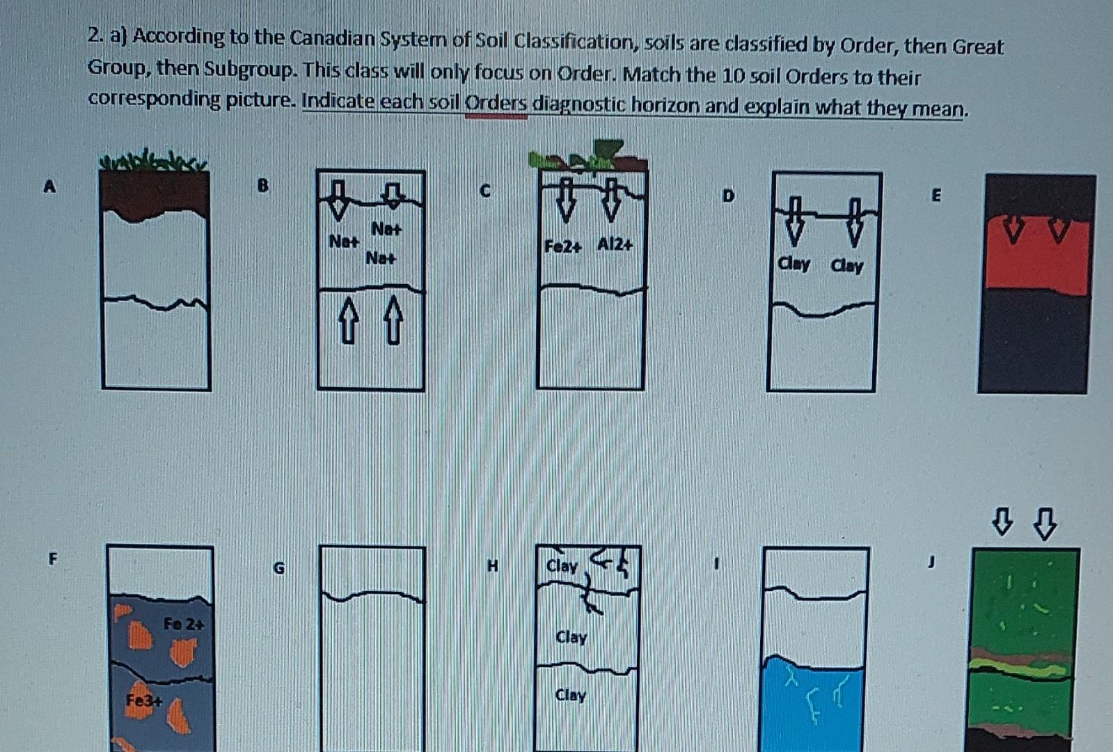 Solved According to the Canadian system of soil | Chegg.com