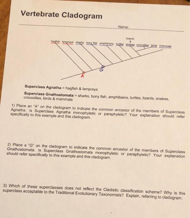 Solved I need help with number 2 explanation"Place a G on | Chegg.com