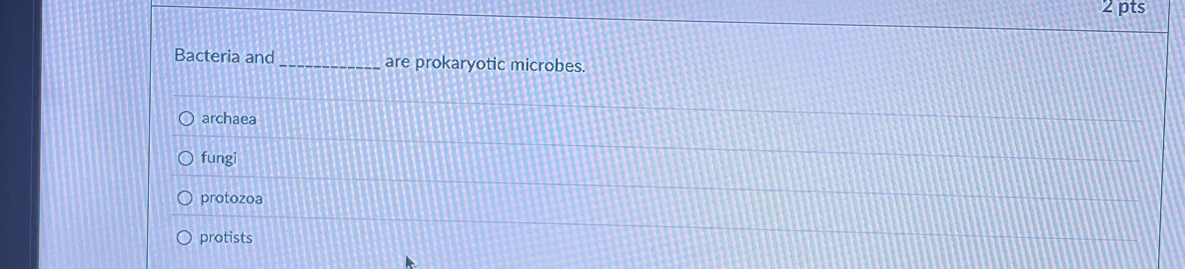 Solved 2 ﻿ptsBacteria and ﻿are prokaryotic microbes. | Chegg.com