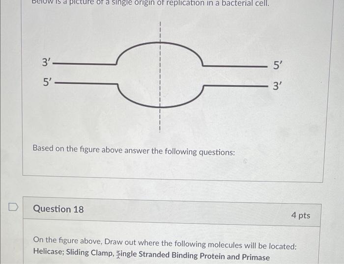 Solved please help! asap | Chegg.com