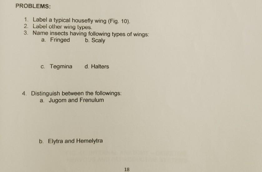 Solved 1. Label a typical housefly wing (Fig. 10). 2. Label | Chegg.com
