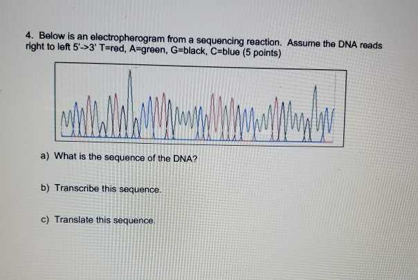 Solved 4. Below is an electropherogram from a sequencing | Chegg.com