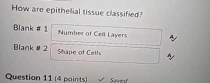 Solved How are epithelial tissue classified?Blank # 1Number | Chegg.com