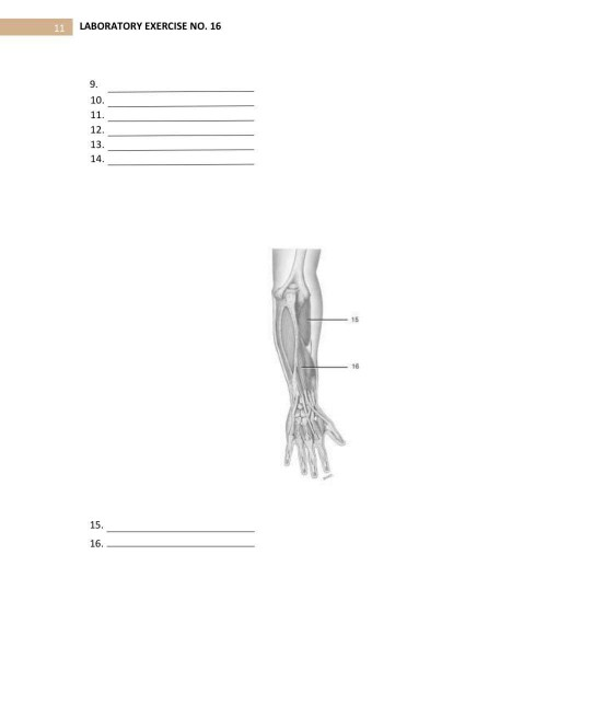 Solved 6 LABORATORY EXERCISE NO. 16 4. 5. 6 7 8 9 Identify | Chegg.com