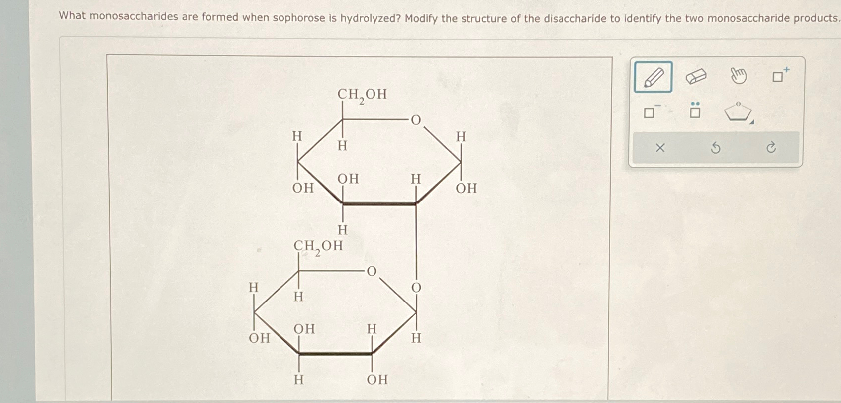 Solved What monosaccharides are formed when sophorose is | Chegg.com