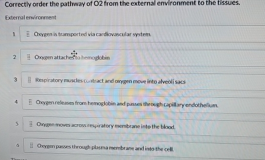 High Quality SOLUTION Correctly order the pathway of O 2 ﻿from the ...