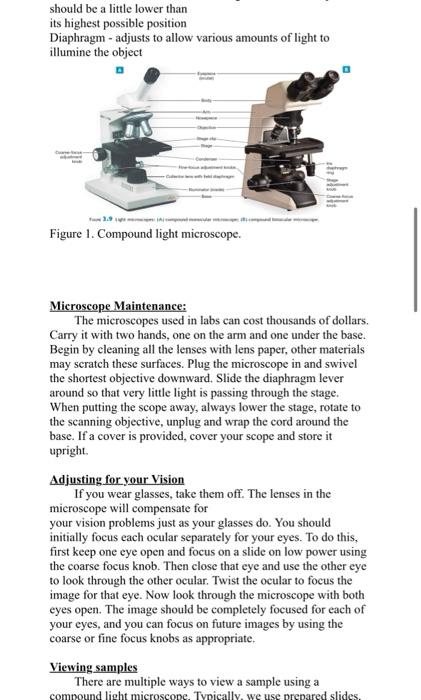 Figure 2. Preparation of a wet mount slide. In this | Chegg.com