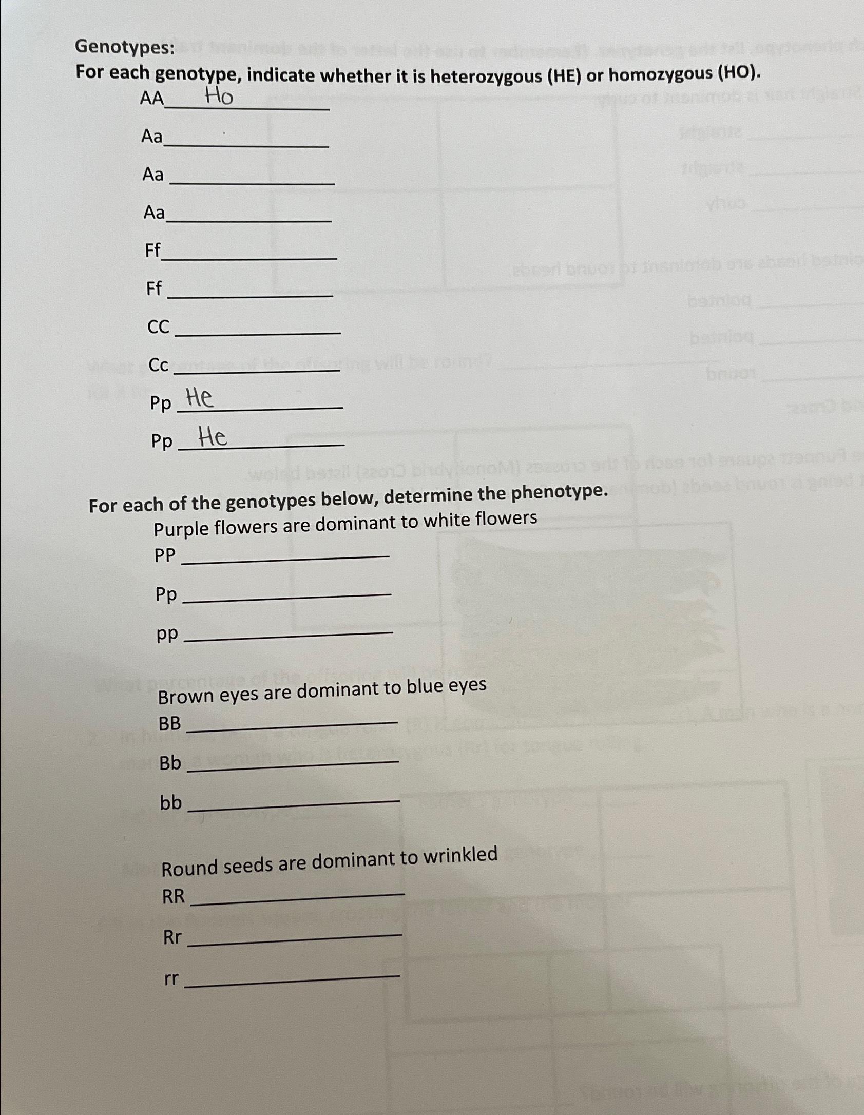 Solved Genotypes:For each genotype, indicate whether it is | Chegg.com