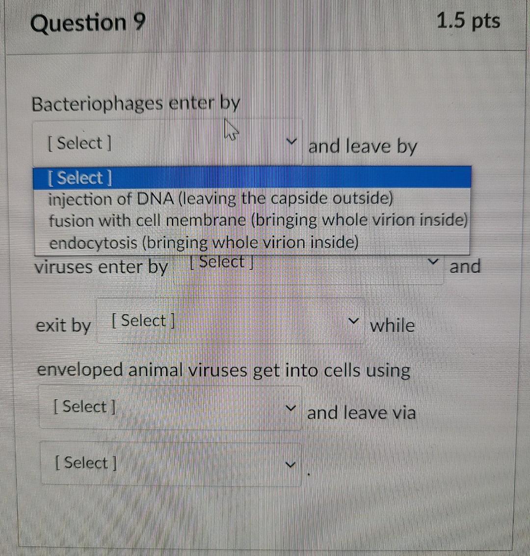 Solved Question 7 1 pts Put the steps in a negative-sense | Chegg.com