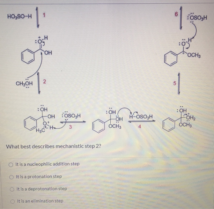 Solved Use the Fischer Esterification mechanism to answer | Chegg.com