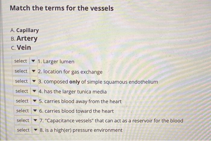 Solved Match the terms for the vessels A. Capillary B. | Chegg.com