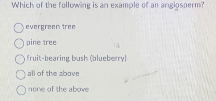 Solved Which of the following is an example of an | Chegg.com