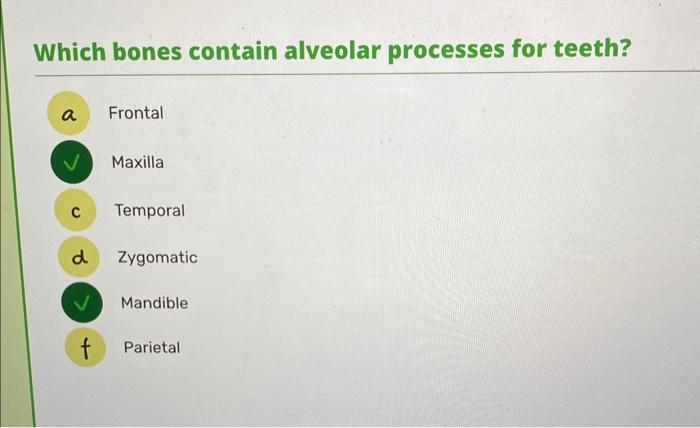 Solved Which 2 bones connect the appendicular and axial | Chegg.com