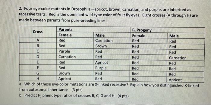 Solved 2. Four eye-color mutants in Drosophila -apricot, | Chegg.com
