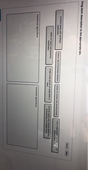Solved Drag each description to the appropriate bin. Reset | Chegg.com