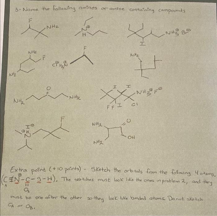 Solved 3- Name the following amines or amine containing | Chegg.com
