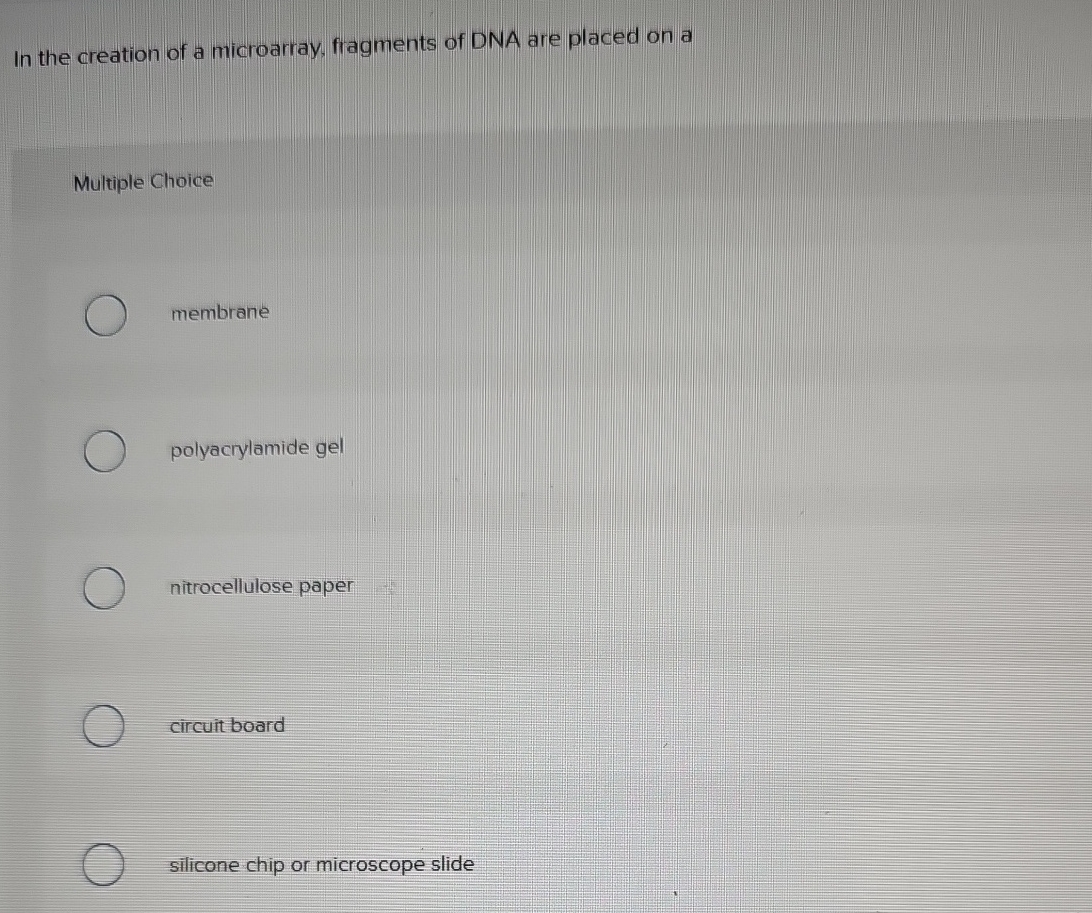 Solved In the creation of a microarray, fragments of DNA are | Chegg.com