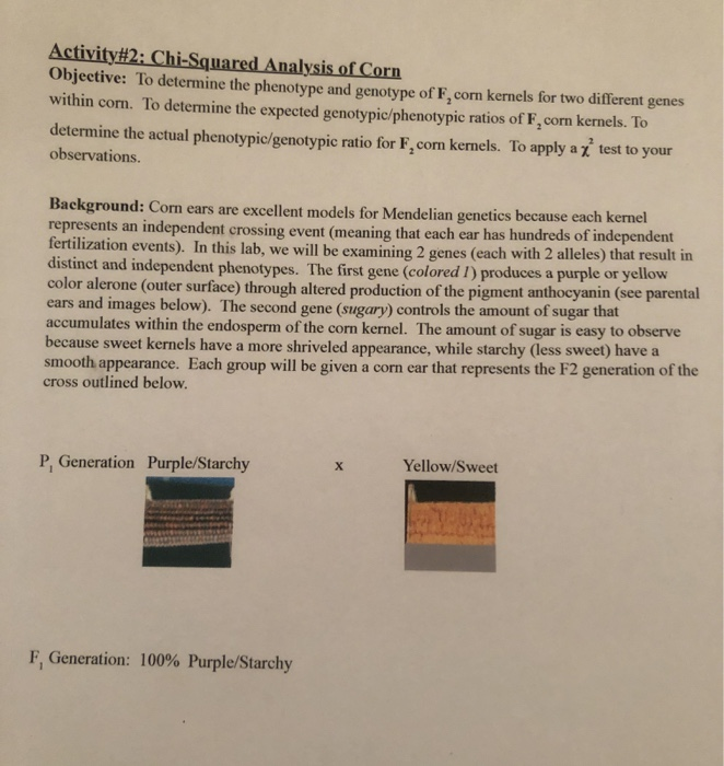 Solved Activity#2: Chi-Squared Analysis of Corn Objective: | Chegg.com