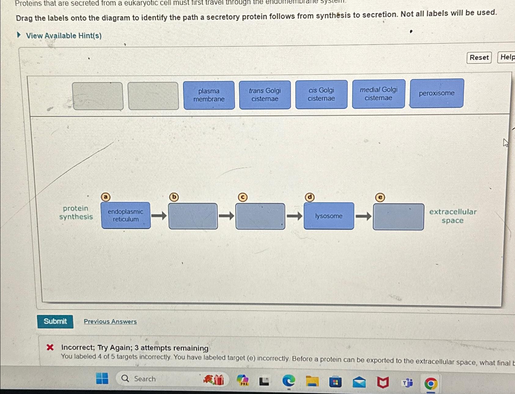 Solved Proteins that are secreted from a eukaryotic cell | Chegg.com