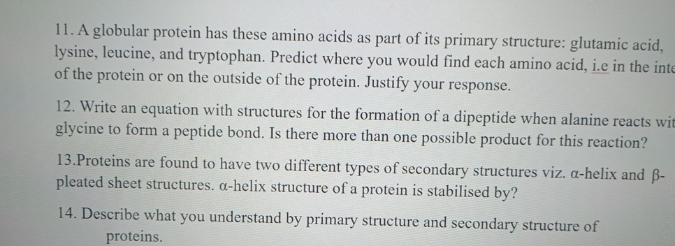 Solved A globular protein has these amino acids as part of | Chegg.com
