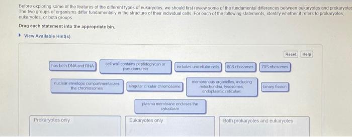 Solved Before exploring some of the features of the | Chegg.com