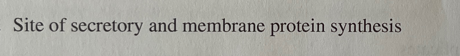 Solved Site of secretory and membrane protein synthesis | Chegg.com