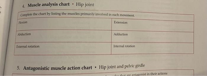 Solved 4. Muscle analysis chart. Hip joint Complete the | Chegg.com