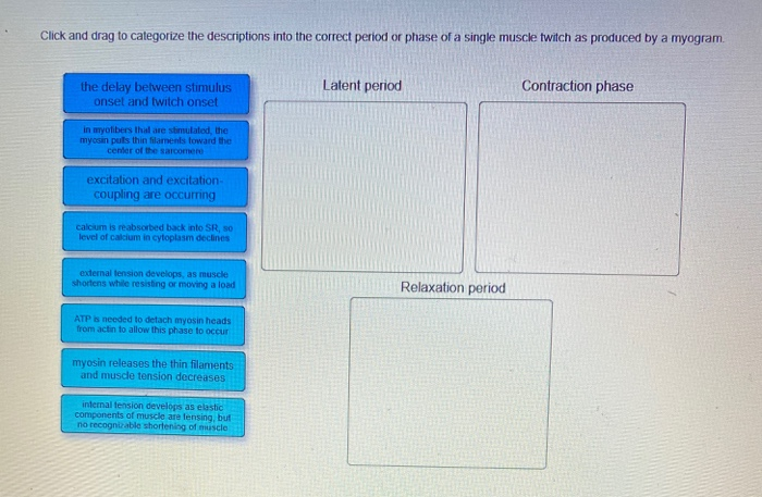 Solved Click and drag to categorize the descriptions into | Chegg.com