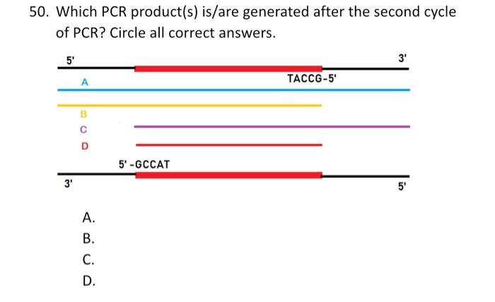 Solved 50. Which PCR product(s) is/are generated after the | Chegg.com