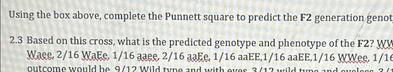 Solved Using the box above, complete the Punnett square to | Chegg.com