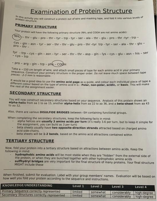Solved protein Examination of Protein Structure brother | Chegg.com