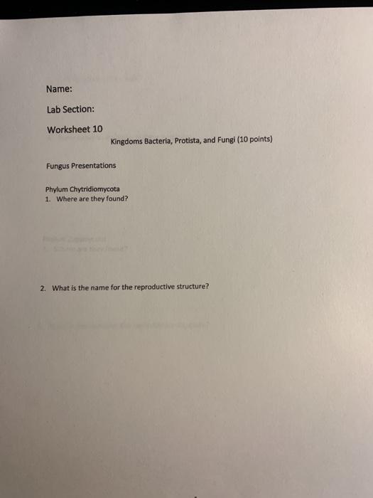 Solved Name: Lab Section: Worksheet 10 Kingdoms Bacteria, | Chegg.com Solved Name: Lab Section: Worksheet 10 Kingdoms Bacteria, | Chegg.com