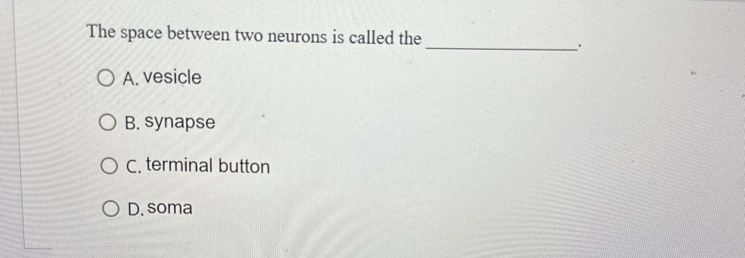Solved The space between two neurons is called theA. | Chegg.com