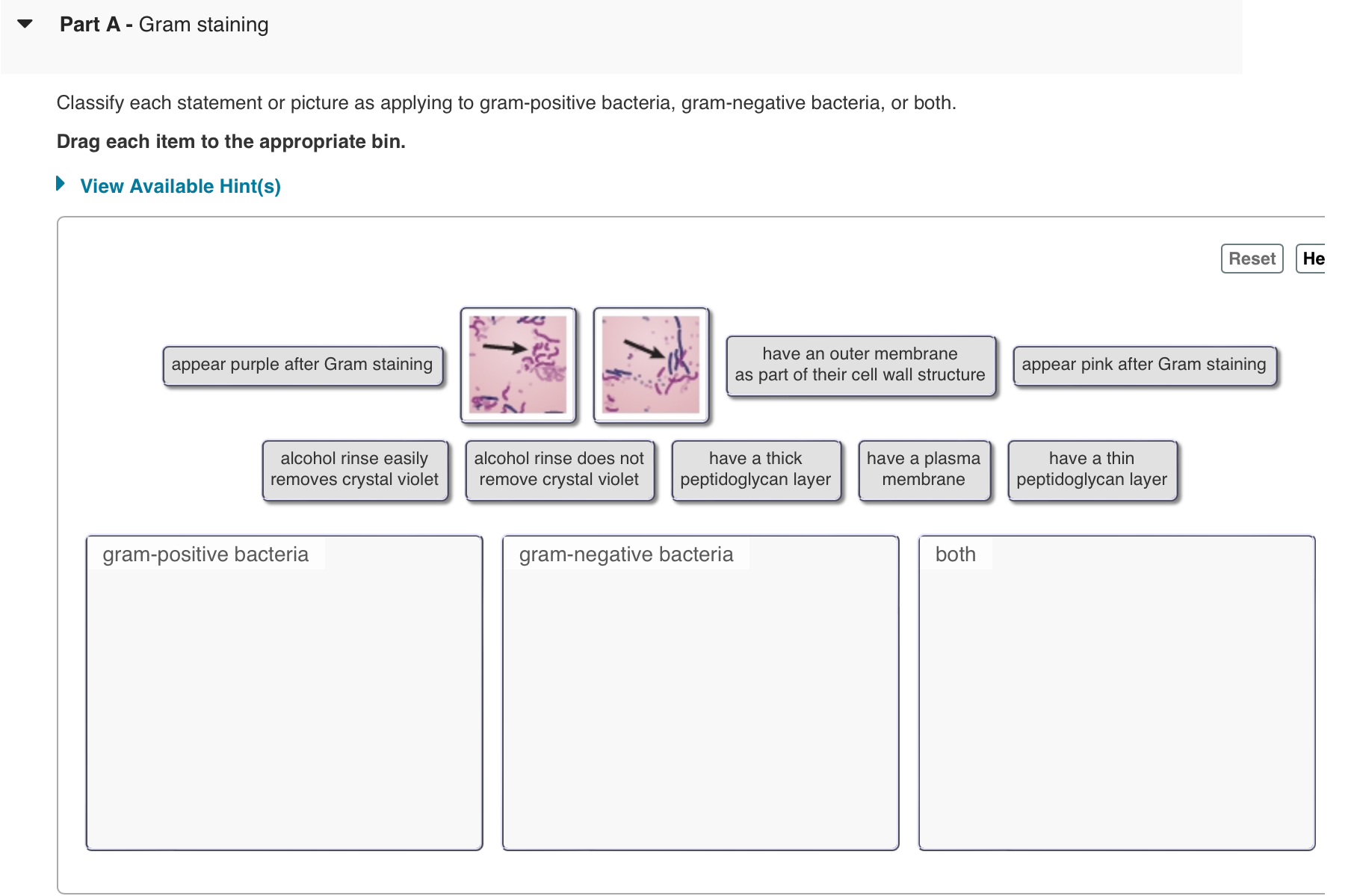 Part A - ﻿Gram stainingClassify each statement or | Chegg.com