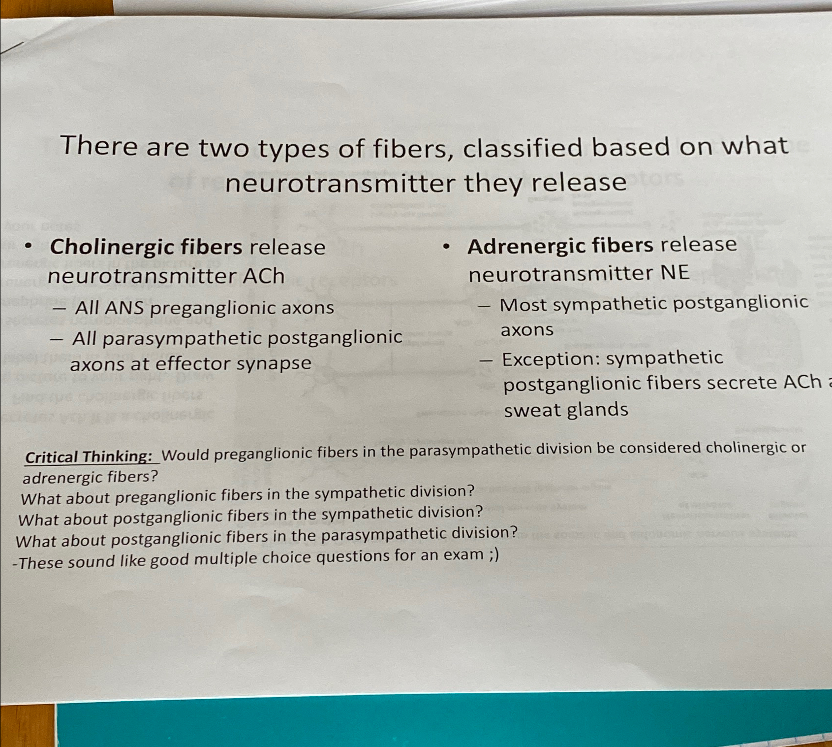 Solved There are two types of fibers, classified based on | Chegg.com