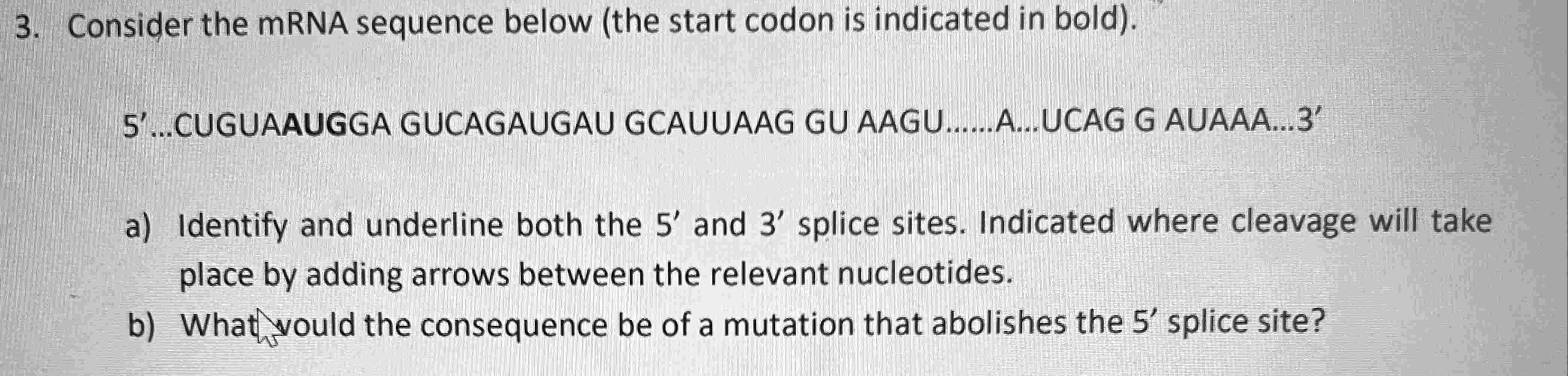 Solved Consider the mRNA sequence below (the start codon is | Chegg.com