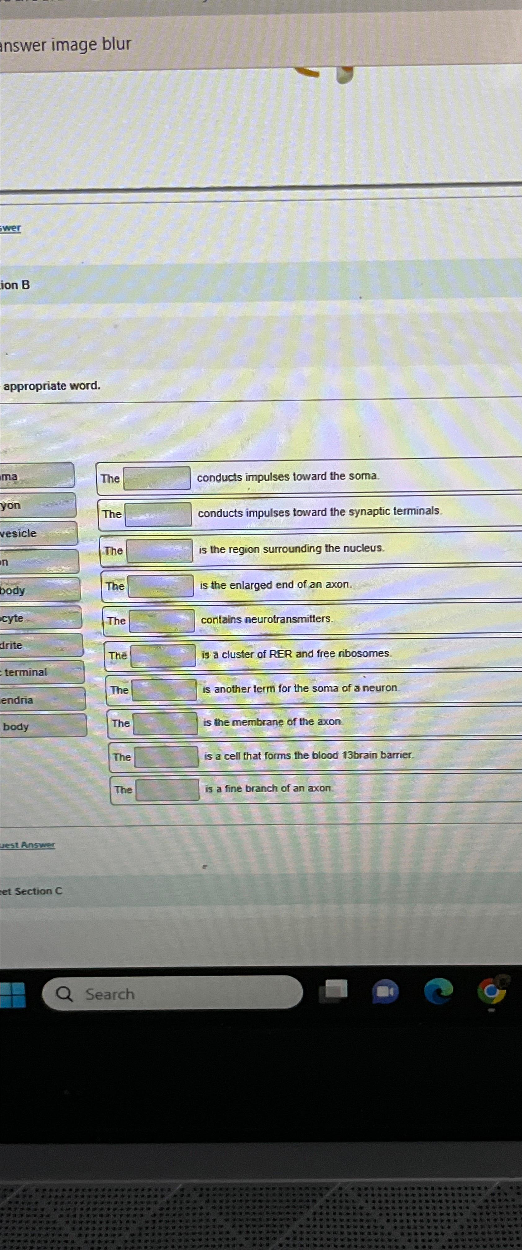 Solved nswer image blurappropriate word.\table[[The,conducts | Chegg.com
