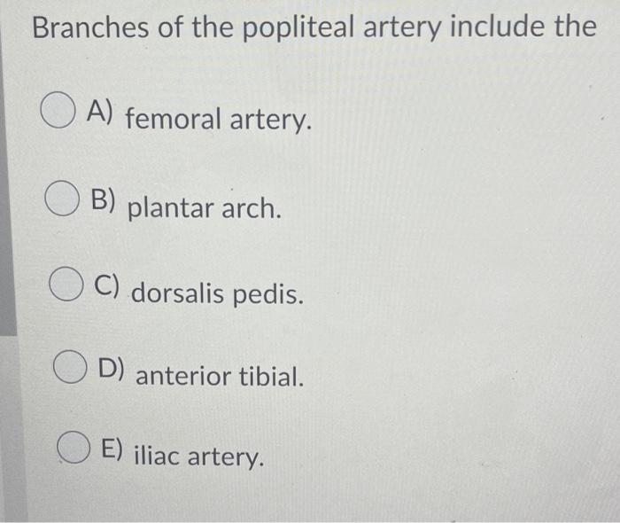 Solved Branches of the popliteal artery include the OA) | Chegg.com