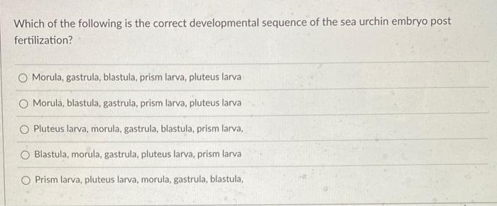 Solved Which of the following is the correct developmental | Chegg.com