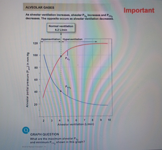 Solved ALVEOLAR GASESAs alveolar ventilation increases, | Chegg.com Solved ALVEOLAR GASESAs alveolar ventilation increases, | Chegg.com
