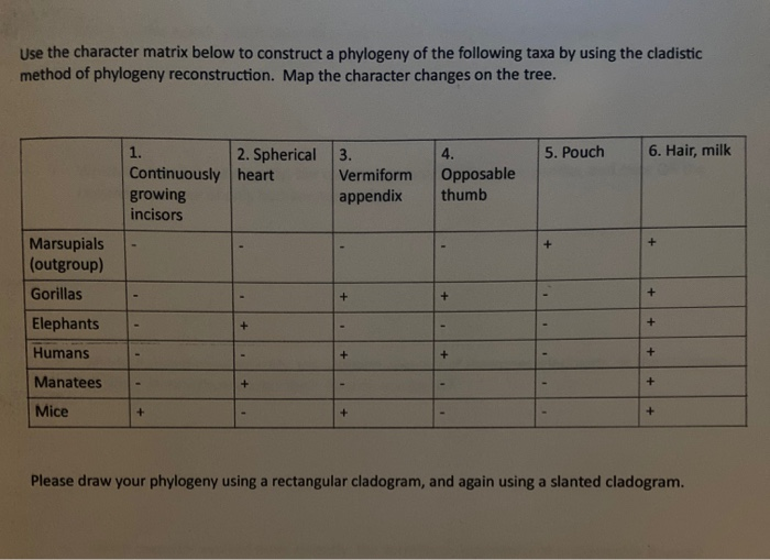 Use the character matrix below to construct a | Chegg.com