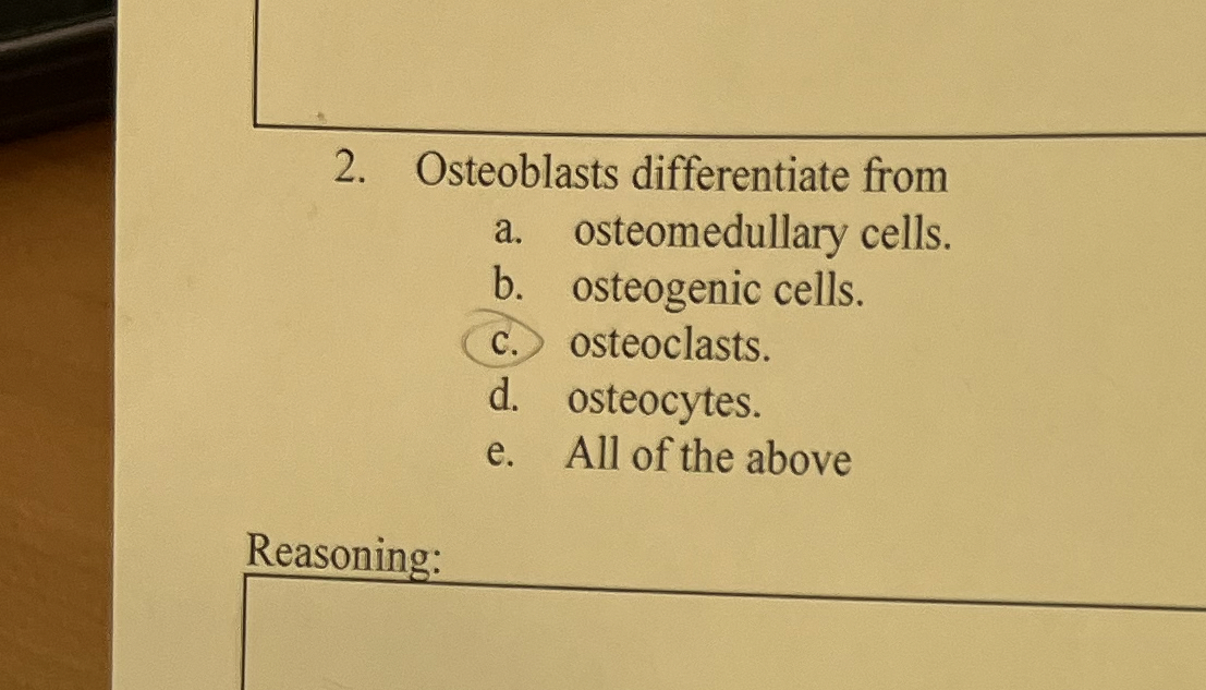 Solved Osteoblasts differentiate froma. ﻿osteomedullary | Chegg.com