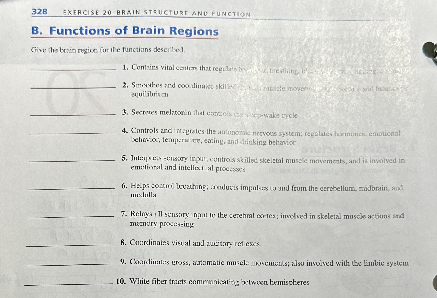 Solved 328 ﻿EXERCISE 20 ﻿BRAIN STRUCTURE AND FUNCTIONB. | Chegg.com