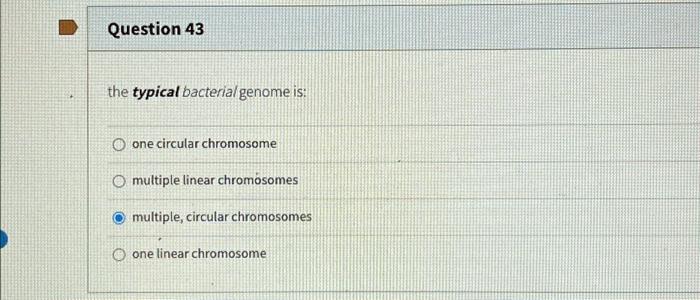 Question 43 the typical bacterial genome is: O one | Chegg.com