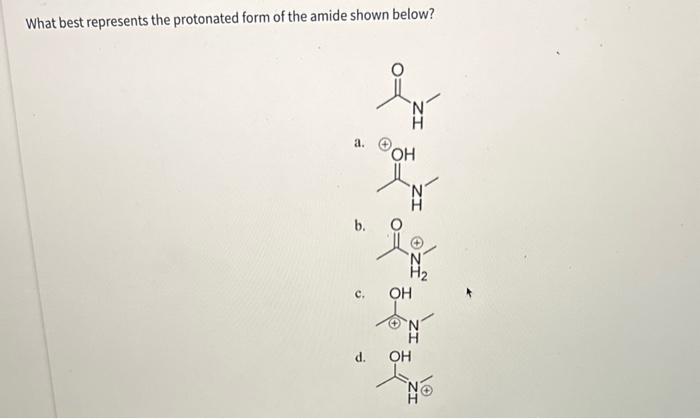 Solved What best represents the protonated form of the amide | Chegg.com