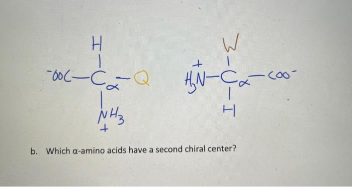 Solved 3. Fischer projections of amino acids: a. Identify | Chegg.com