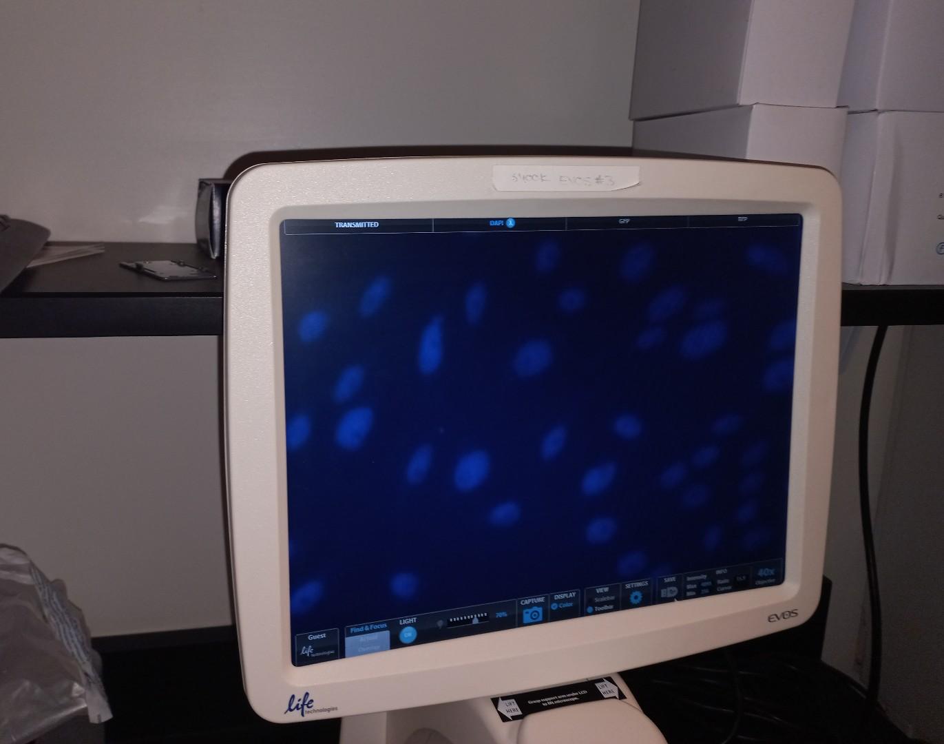 Solved 8: Acquiring Images with EVOS Microscope Lab Goal: - | Chegg.com