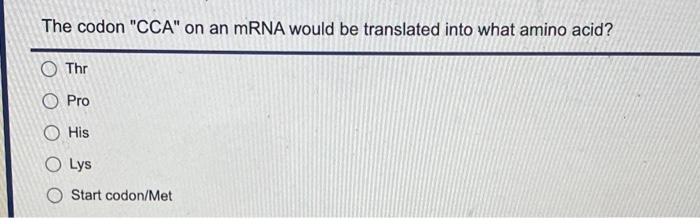Solved The codon "CCA" on an mRNA would be translated into | Chegg.com