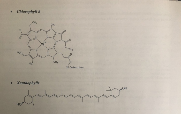 Solved Phase 14. For each spinach pigment shown below - draw | Chegg.com